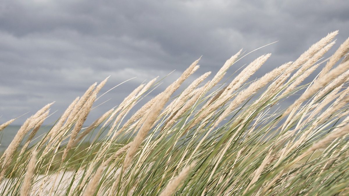 Destinationer Danmarks bedste strande - Truestory