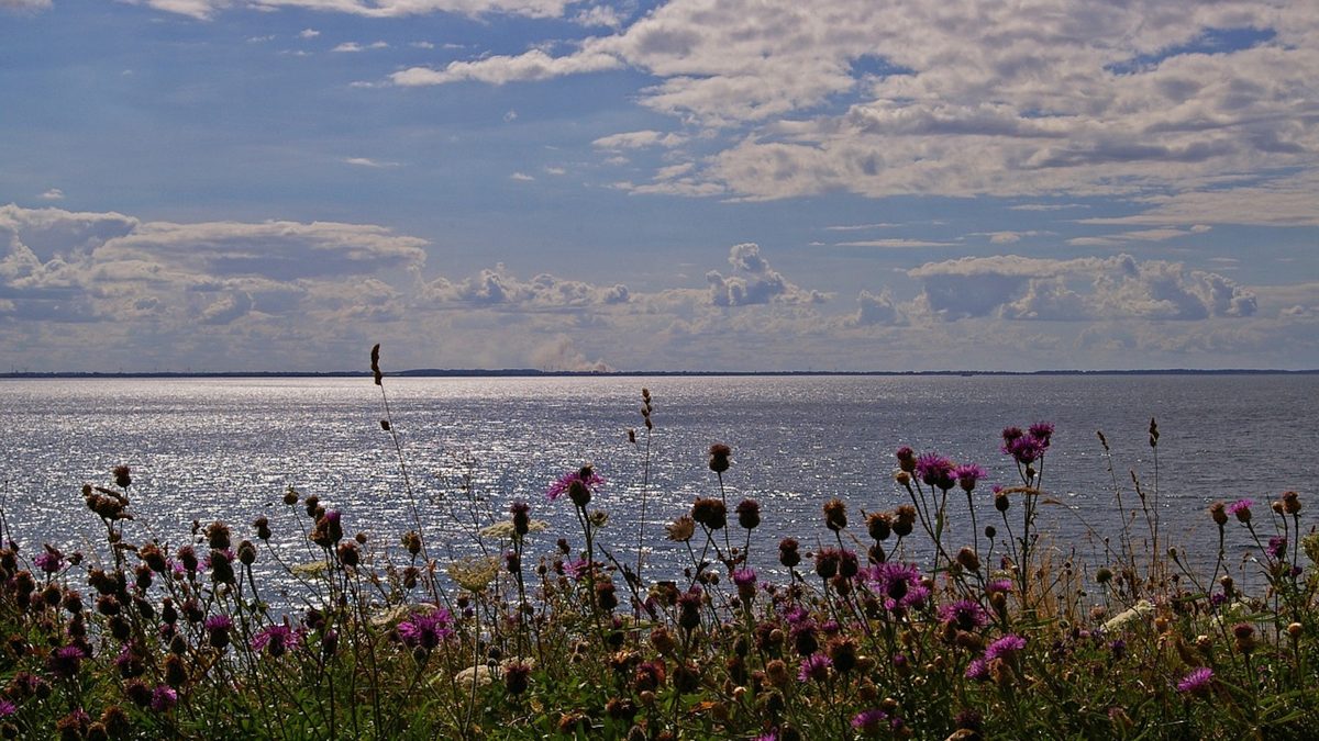 Destinationer Danmarks bedste strande - Truestory