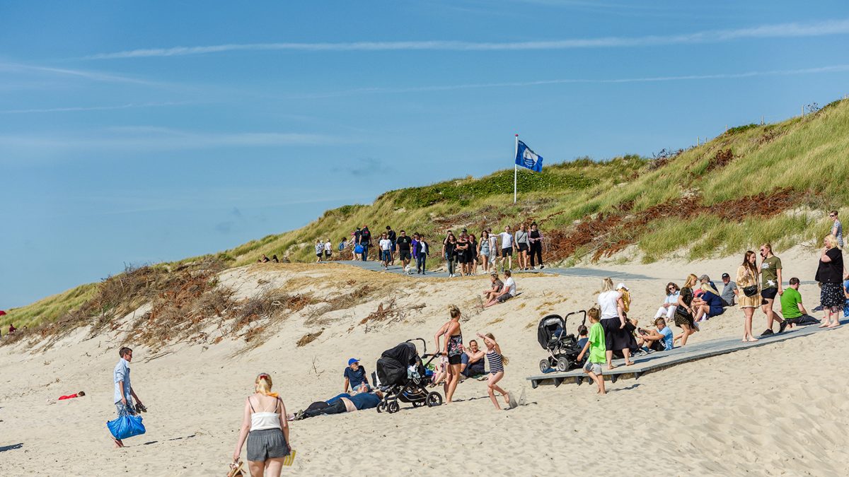 Destinationer Danmarks bedste strande - Truestory