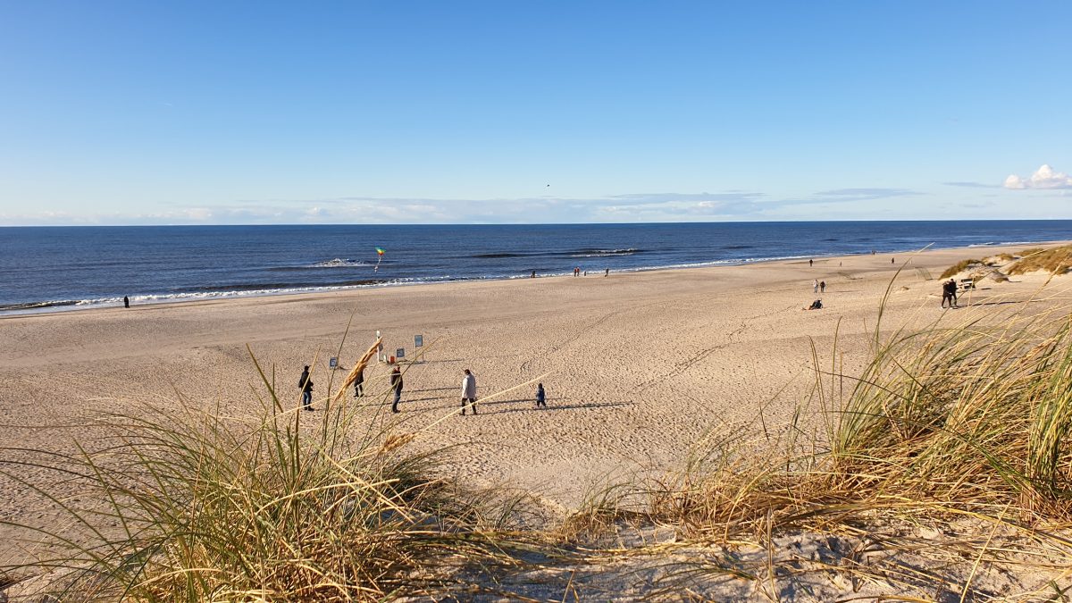 Destinationer Danmarks bedste strande - Truestory