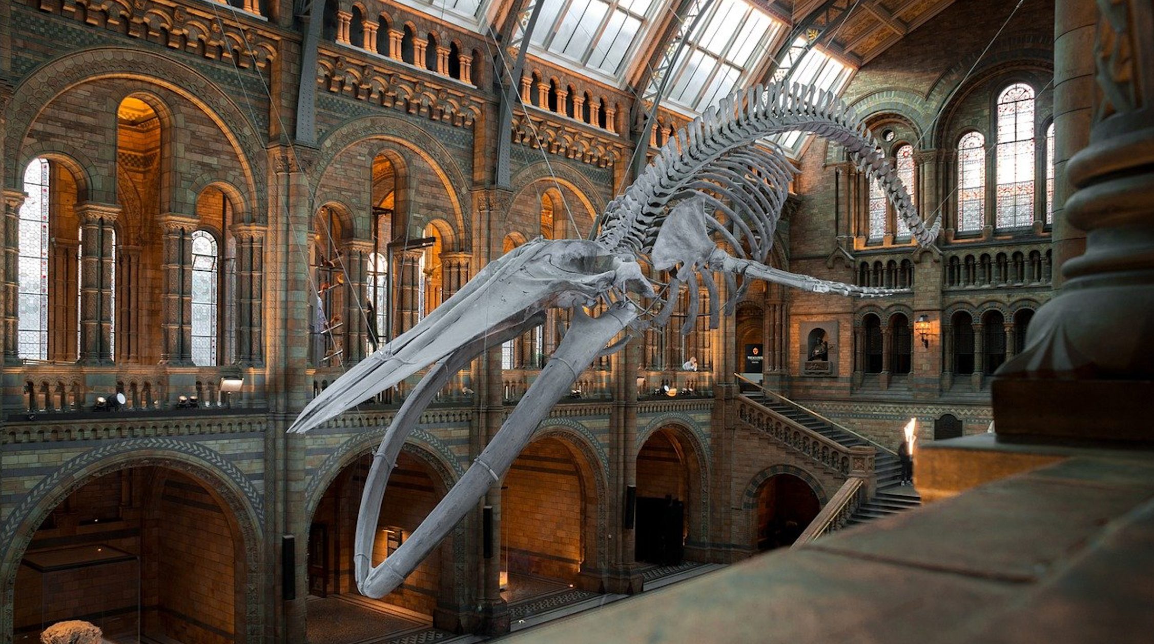 Den store museumsguide - Truestory