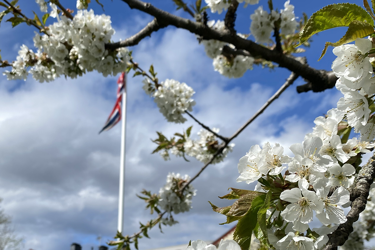 15 opplevelser i Norge i sommer 2024 | Tips til ting å gjøre