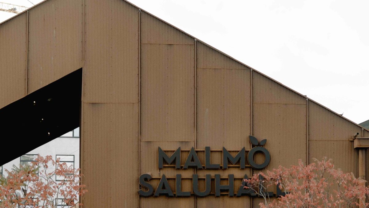 Upplevelser i Malmö 2022 (Guide för dig som vill ha kul i Malmö)