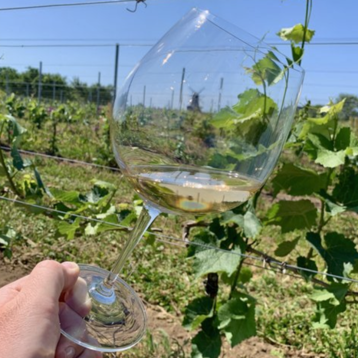 Besök en vingård i Skåne - 7 vackra vingårdar - Truestory